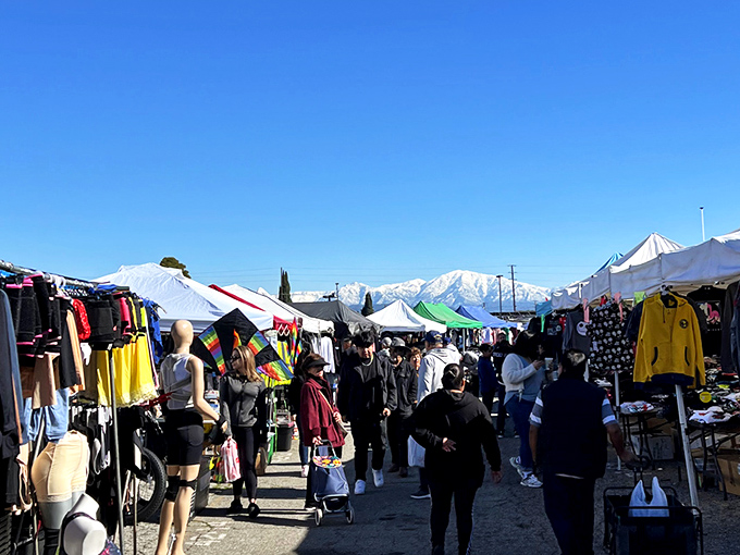 The treasure hunter's paradise stretches before you like a retail Narnia. Every aisle promises discoveries that'll make your friends wonder where you've been shopping.