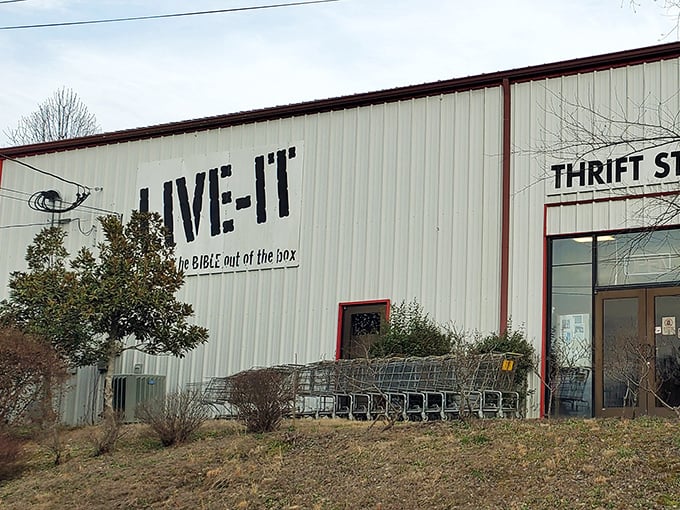 The unassuming exterior of LIVE-IT belies the treasure trove within&mdash;like finding a five-star restaurant in a gas station, the surprises await inside.