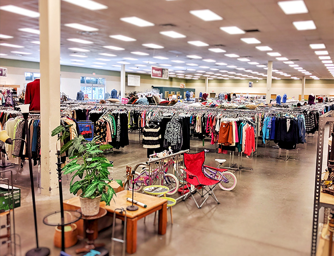 Rack after rack of color-coded clothing stretches toward the horizon like a textile sea. Treasure hunters, prepare your carts!