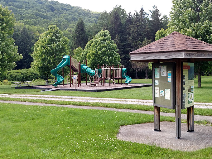 Nature's perfect postcard: the East Branch Clarion River meanders through Bendigo State Park like it's in absolutely no hurry whatsoever. Neither should you be.