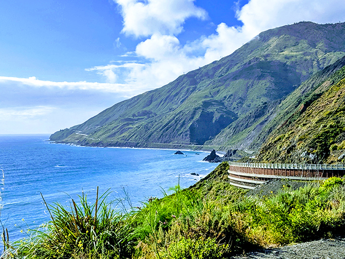 Mother Nature's front porch with an ocean view. The meeting of golden meadows, towering trees, and that impossibly blue Pacific horizon creates California's most perfect postcard moment.