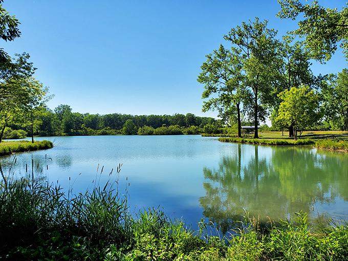 Mirror-like waters reflect nature's masterpiece at Maumee Bay's inland lake. Ohio's answer to those fancy European lakeside retreats, minus the jet lag.