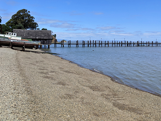 The golden hills meet the blue waters of San Pablo Bay, creating a California postcard moment that no filter could improve upon.