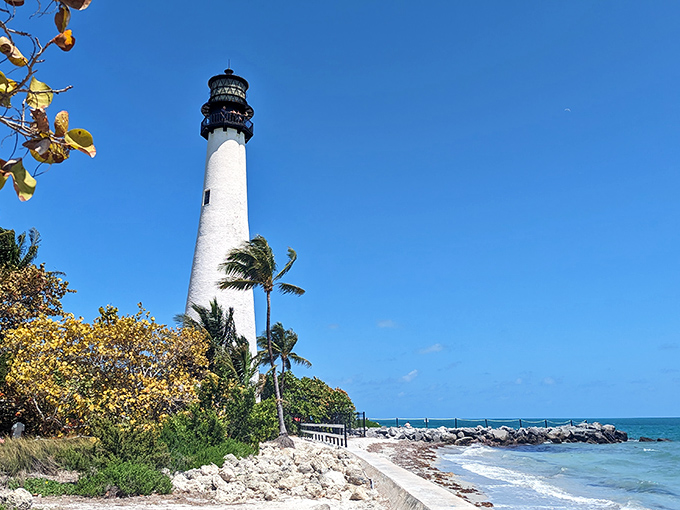 Like a pristine white exclamation point against Florida's azure sky, Cape Florida Lighthouse stands tall, surrounded by swaying sea oats and whispering palms.