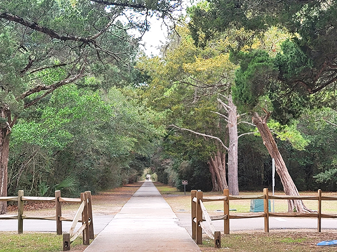 Nature's infinity pool! The still waters of Huntington Beach State Park mirror the sky, creating a double dose of Carolina blue perfection.