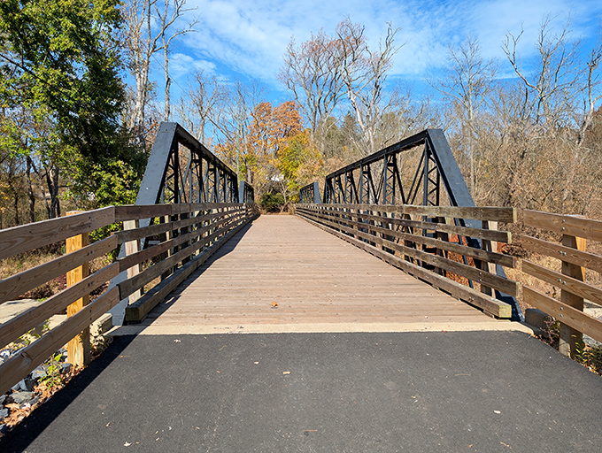 Nature's masterpiece unfolds at Evansburg State Park, where Pennsylvania's beauty reaches cinematic proportions.