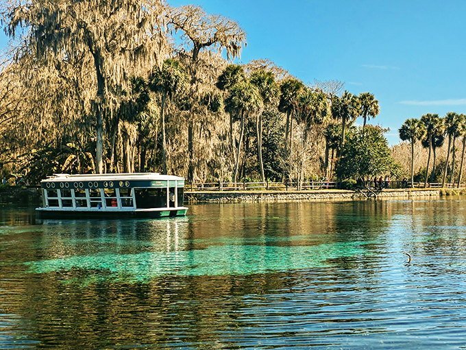 The famous glass-bottom boats glide over impossibly clear waters, revealing an underwater world that feels like Mother Nature's own aquarium.