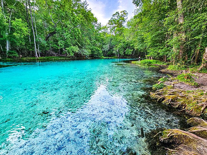 Mother Nature's swimming pool puts the Caribbean to shame. This otherworldly blue oasis surrounded by lush Florida wilderness might just ruin all other water experiences forever.