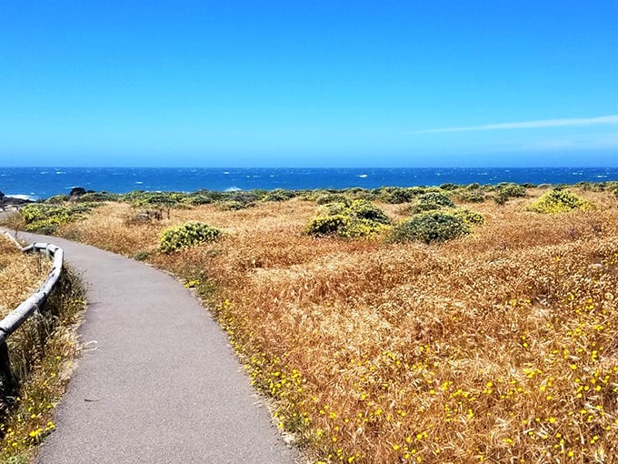 Nature's perfect drama unfolds where rugged sandstone meets the relentless Pacific, creating a coastline that belongs on the cover of every California tourism brochure.