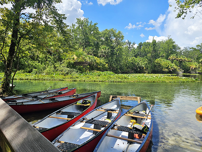 A wooden staircase descends to emerald waters framed by palms and pines – nature's version of a grand entrance to paradise.