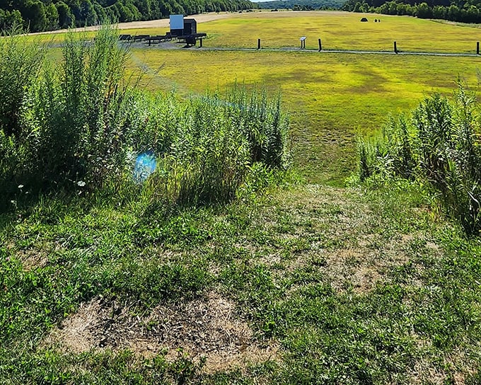 The wide-open field at Cherry Springs looks unassuming by day, but transforms into nature's IMAX theater when darkness falls. Cosmic magic awaits.
