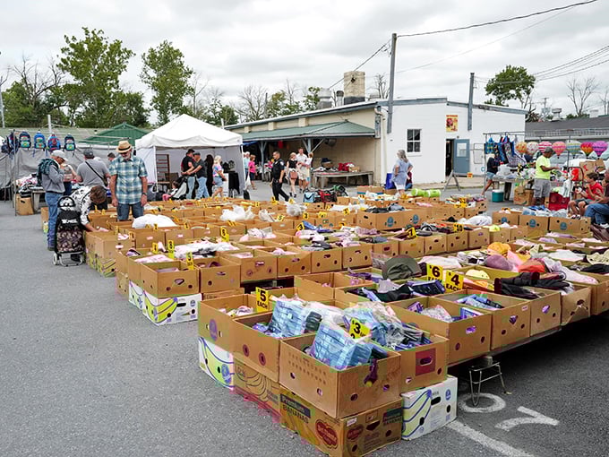 Bargain hunter's paradise! Cardboard boxes transform into treasure chests at Green Dragon's outdoor market, where one person's castoffs become another's must-haves.
