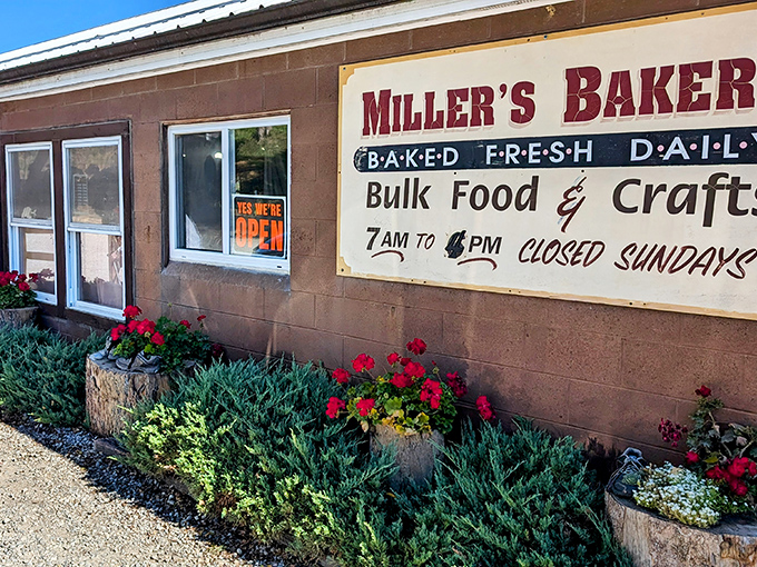 This unassuming brown building holds treasures that would make Willy Wonka jealous &ndash; minus the Oompa Loompas.