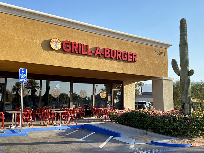 Desert dining at its finest: where towering saguaro cacti meet towering burger expectations in perfect harmony.