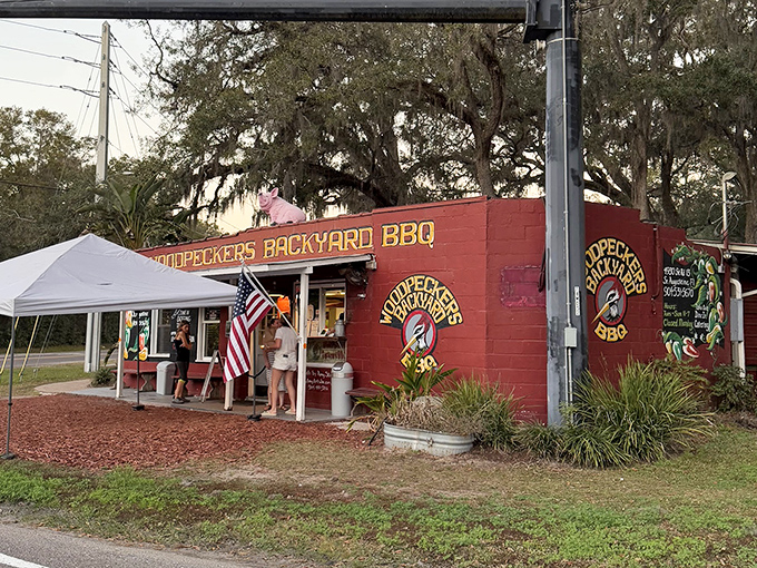 The bright red exterior of Woodpeckers Backyard BBQ stands out like a beacon of hope for hungry travelers under St. Augustine's majestic oak trees.