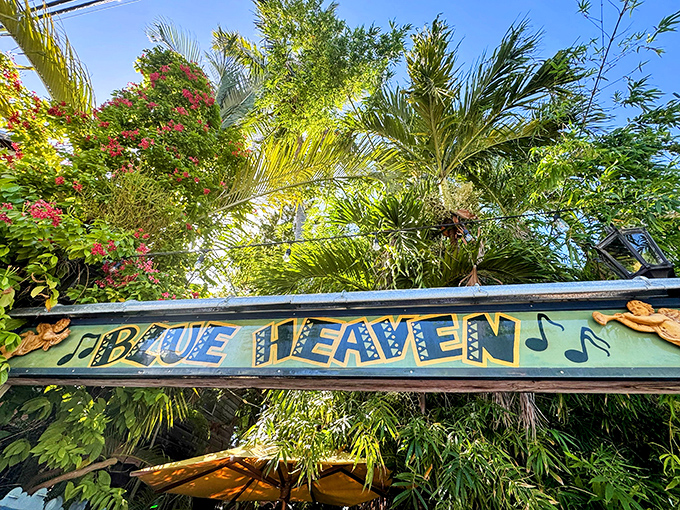 That hand-painted Blue Heaven sign nestled among tropical foliage promises the kind of breakfast adventure your taste buds have been dreaming about.