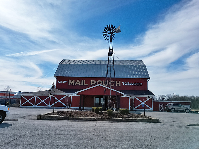 The iconic red barn exterior with its Mail Pouch Tobacco sign and spinning windmill isn't just rural theater&mdash;it's the prelude to a serious steak experience.