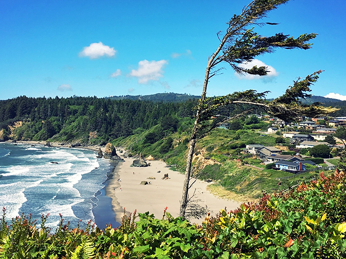 Perched on California's edge like nature's balcony, Trinidad offers front-row seats to the Pacific's greatest hits&mdash;waves, cliffs, and endless horizon included.
