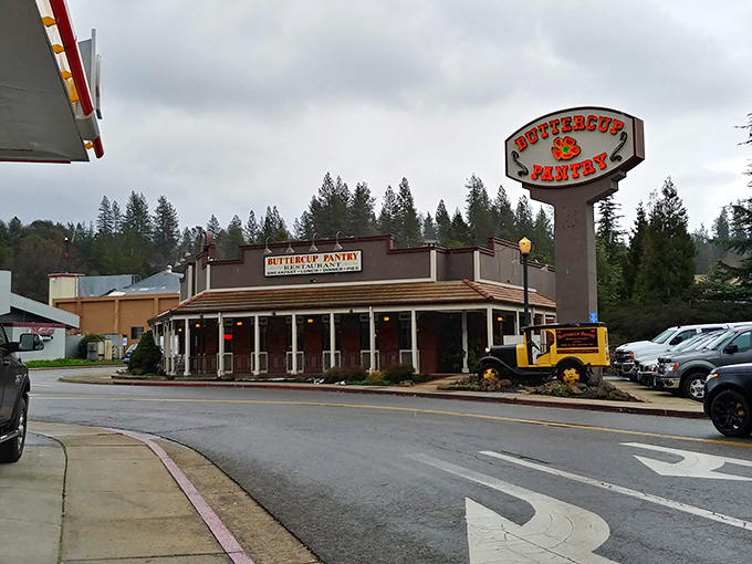 The Buttercup Pantry stands proudly on its corner lot in Placerville, welcoming hungry travelers with its charming wraparound porch and cheerful exterior.