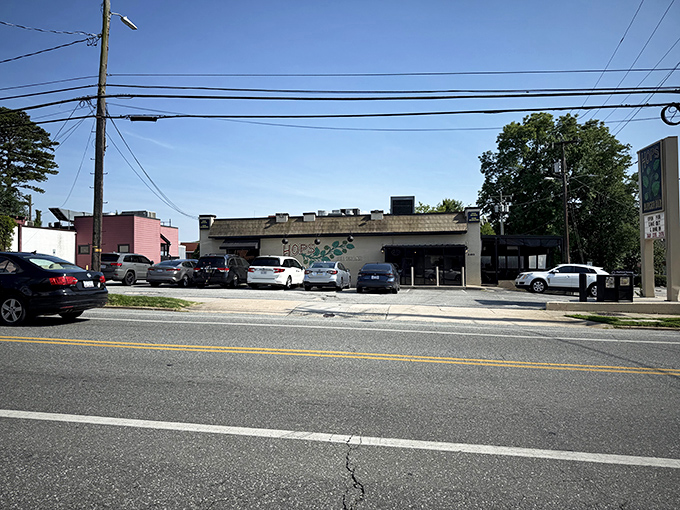 This unassuming Greensboro gem proves that the best treasures hide in plain sight on Spring Garden Street.