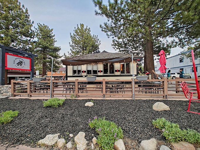 Nestled among towering pines, The Warming Hut's inviting deck practically whispers, "Come sit awhile," after a day of mountain adventures.