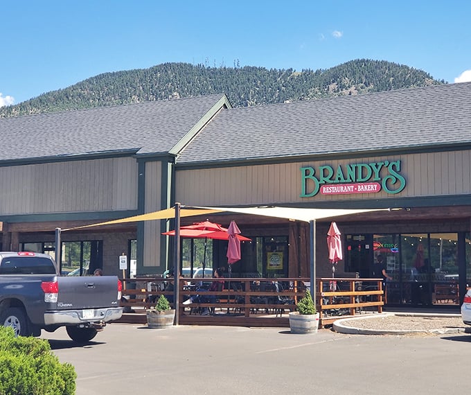 Nestled against Flagstaff's pine-covered mountains, Brandy's unassuming exterior hides culinary treasures that locals have been keeping secret for too long.