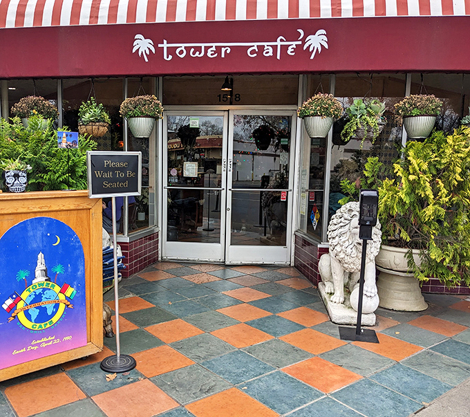 Stone lions and lush greenery stand guard at Tower Caf&eacute;'s entrance, like bouncers at the world's most welcoming global food party.