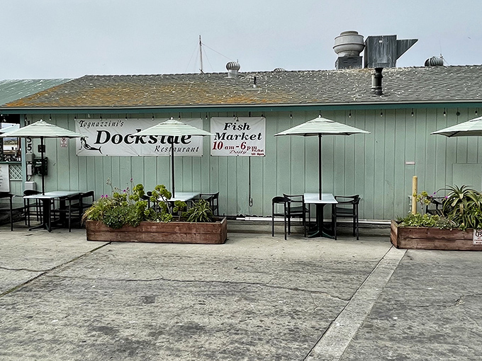The unassuming exterior of Dockside Restaurant proves once again that culinary treasures often hide in plain sight along California's coast.
