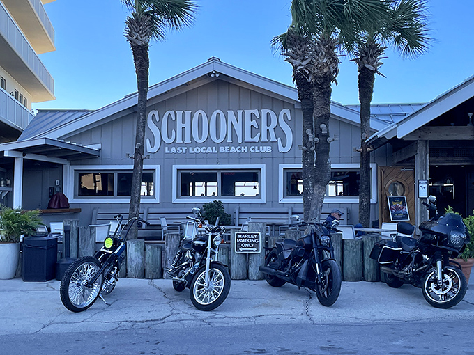 Schooners proudly wears its "Last Local Beach Club" title like a badge of honor, with weathered pilings and palm trees completing the perfect Florida postcard setting.