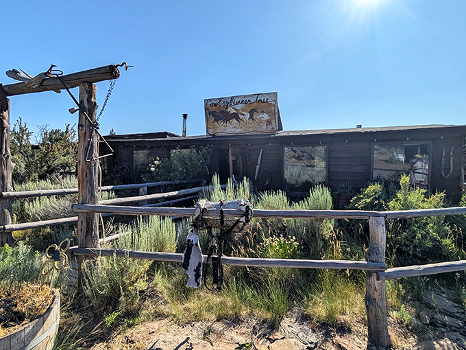 Welcome to the middle of nowhere! The Cowboy Dinner Tree stands defiantly against the Oregon high desert, promising culinary adventures worth every mile of the journey.