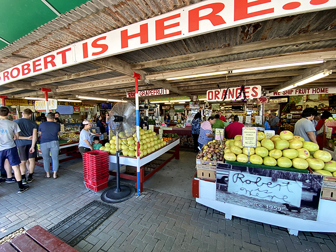 This roadside paradise proves that the best treasures hide behind the most unassuming facades.