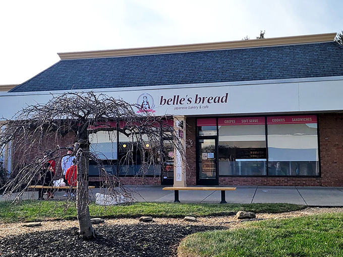 Belle's Bread stands unassumingly in a Columbus strip mall, like Clark Kent before he ducks into a phone booth. Japanese bakery magic awaits inside.