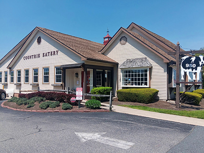 The Countrie Eatery sits like a friendly neighbor, always ready with comfort food and warm welcomes.