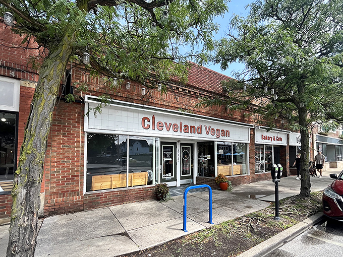 The Cleveland Vegan sign peeks out from beneath leafy branches, like nature giving its stamp of approval to this plant-based haven in Lakewood.