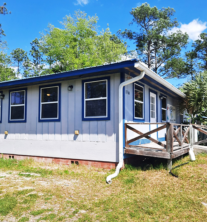 The unassuming blue and white exterior of Essex Seafood House stands like a culinary lighthouse in Pierson, beckoning seafood lovers with its humble charm.