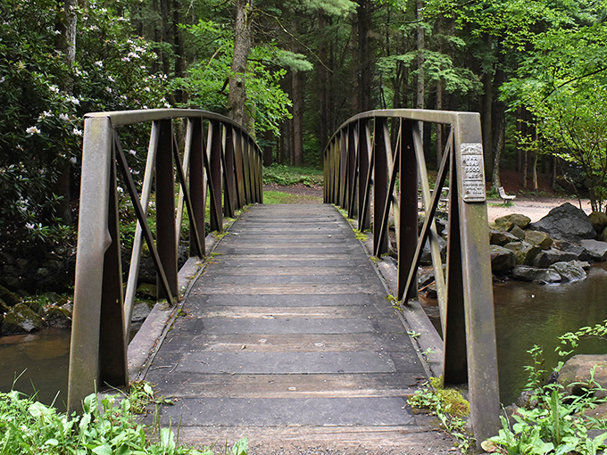 Nature's perfect postcard: a rustic bridge spans the cascading waters below, creating that "I should frame this" moment every Pennsylvania explorer craves.