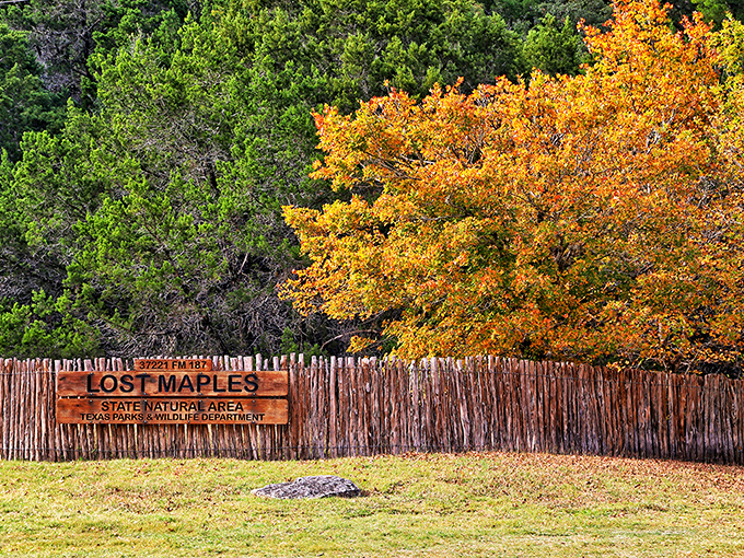 Nature's own infinity pool where the Sabinal River creates a perfect mirror for the surrounding Hill Country landscape.