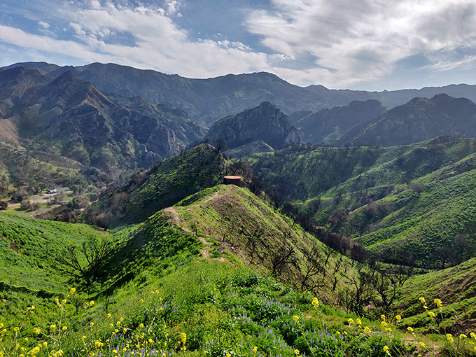 Rolling green hills meet dramatic mountain peaks in this postcard-perfect landscape. Mother Nature showing off her best work just minutes from LA's concrete jungle.