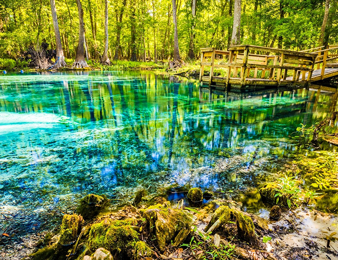 Nature's swimming pool comes in the most impossible shade of blue. The kind of place that makes you question why anyone vacations abroad.