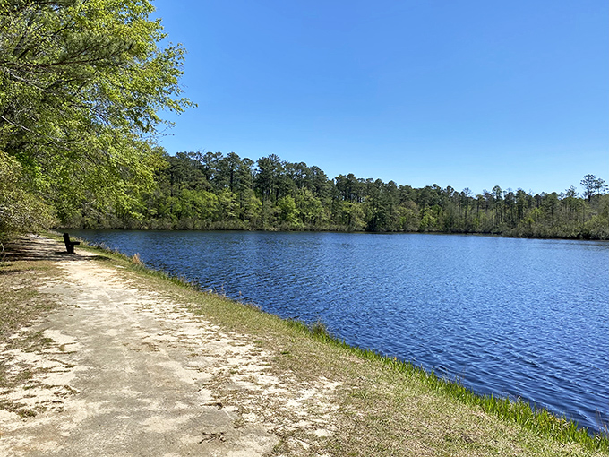 The glassy waters of Aiken State Park's lake mirror the sky so perfectly, you'll wonder which way is up. Nature's own infinity pool awaits.