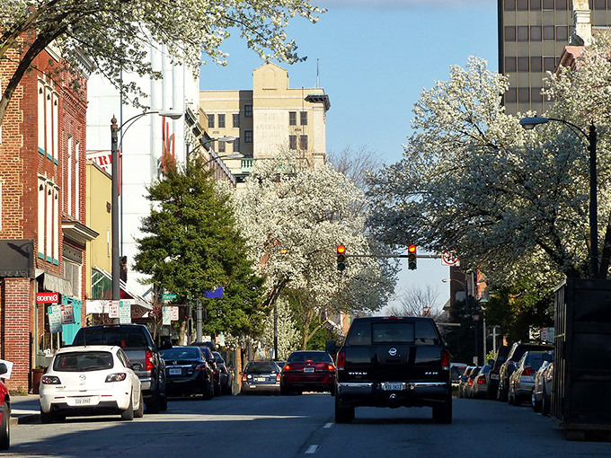 Rolling hills and historic charm create the perfect backdrop for Virginia's most underrated driving destination.