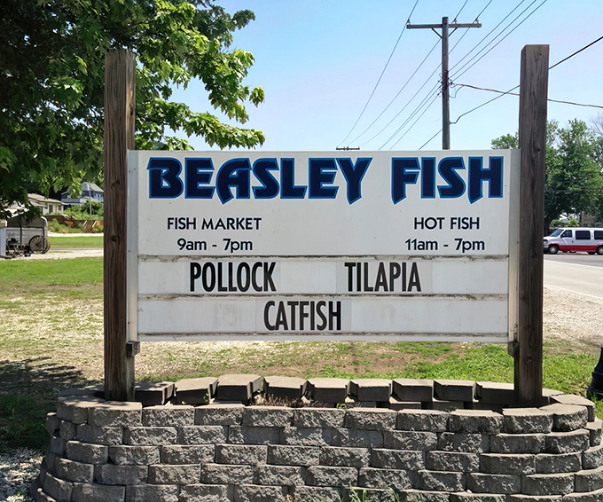 Riverside simplicity at its finest. Beasley Fish stands proudly along the water, promising treasures that swim from river to fryer to your eager hands.