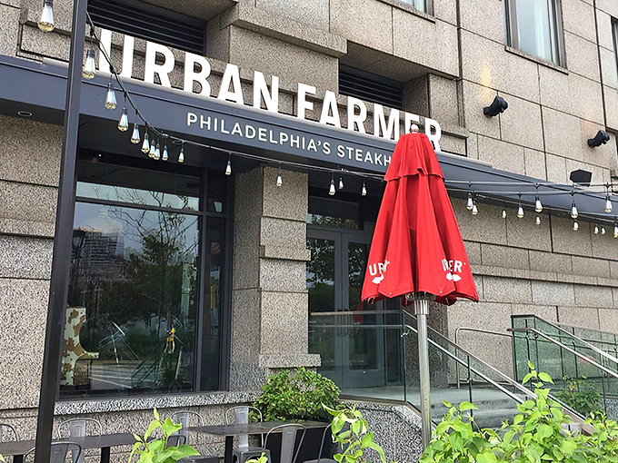 The warm glow of Edison bulbs welcomes you to Urban Farmer, where Philadelphia's steakhouse tradition gets a modern farmhouse makeover.