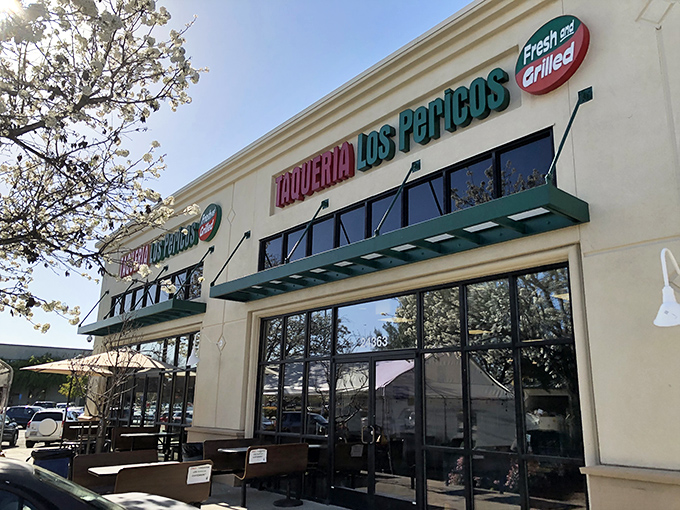 Los Pericos stands proudly in its strip mall kingdom, where the green awnings and bold signage promise culinary treasures within. No Michelin stars needed when the parking lot is this full.