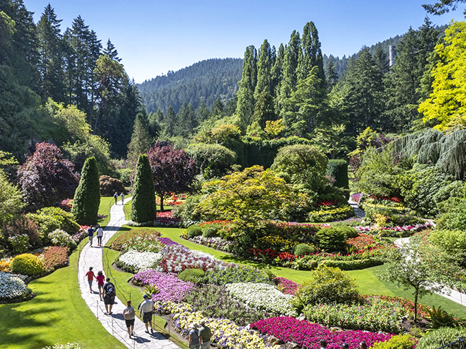 Welcome to paradise, where Mother Nature decided to show off her interior decorating skills.