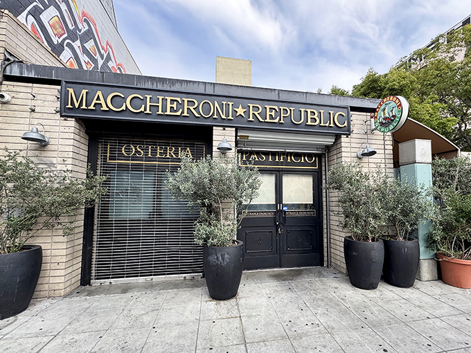 The golden lettering of Maccheroni Republic glows against brick walls, olive trees standing guard like Italian sentinels welcoming hungry pasta pilgrims.