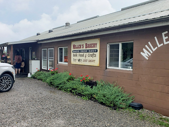 This unassuming brown building holds treasures that would make Willy Wonka jealous – minus the Oompa Loompas.