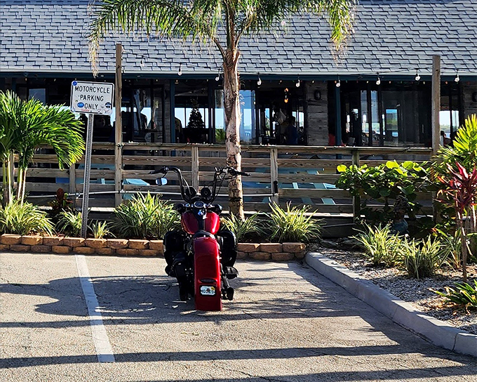 The tropical welcome mat! Our Deck Down Under's vibrant exterior promises Florida charm with its swaying palms and dancing lobster mascot.