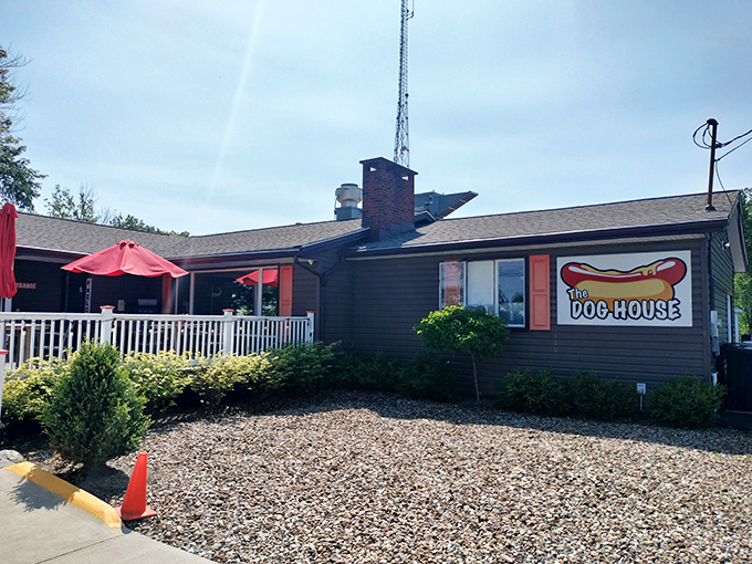 The unassuming exterior of The Cleveland Dog House hides culinary treasures within. Those red umbrellas beckon like beacons to hungry travelers.