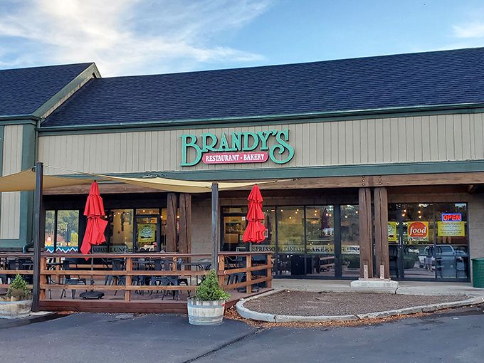 Nestled against Flagstaff's pine-covered mountains, Brandy's unassuming exterior hides culinary treasures that locals have been keeping secret for too long.